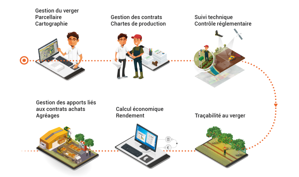 Logiciel de gestion pour arboriculteur - SMAG