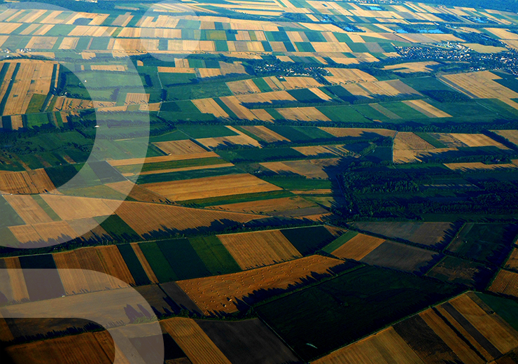 La télédétection au service d’une agriculture plus performante