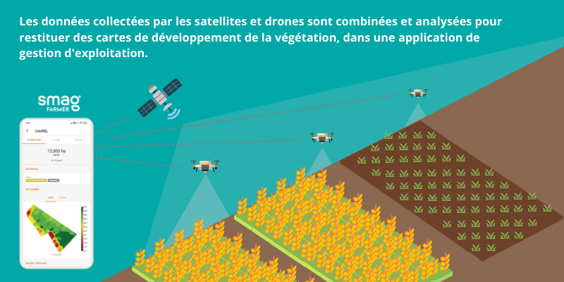 Smart Farming [Toutes les infos] - SMAG