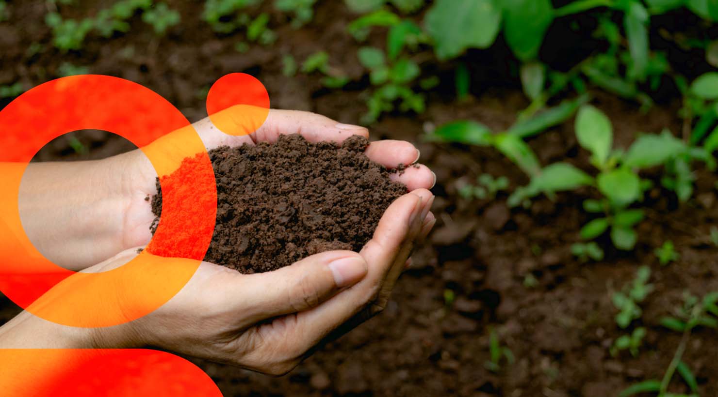 Logiciel de Fertilisation agricole - SMAG