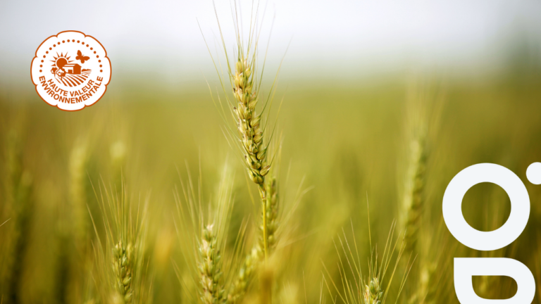 Comment réaliser son plan prévisionnel de fumure ? - SMAG