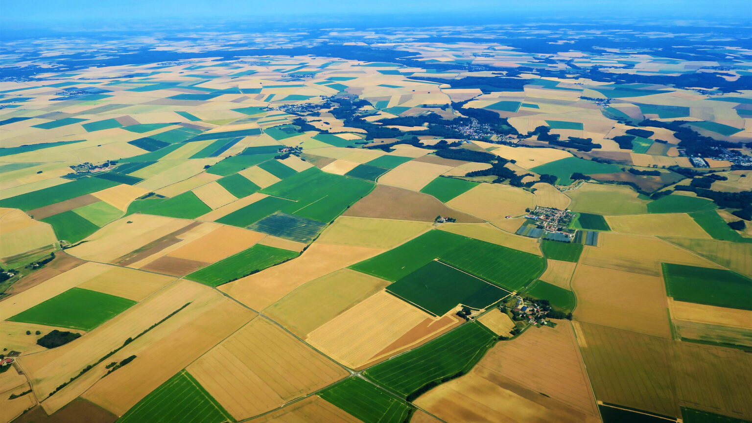 Fermage agricole ou métayage ? Faire son choix - SMAG