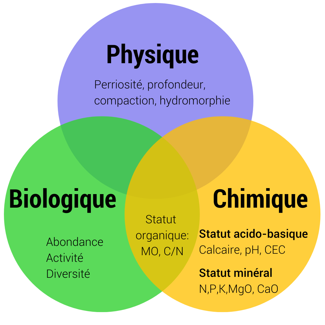 Analyse de sol : guide & infos - SMAG