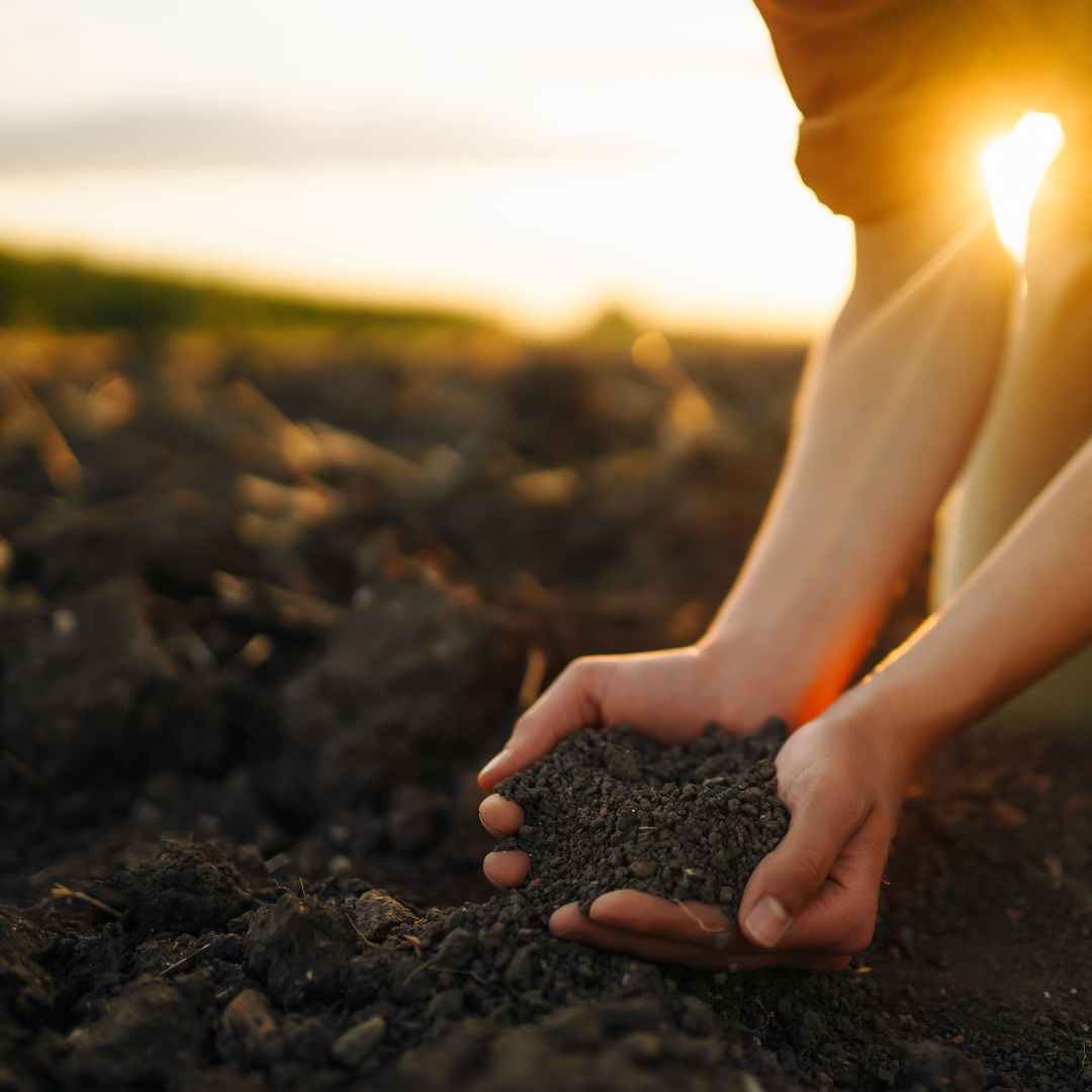 Le stockage du carbone dans les sols - SMAG
